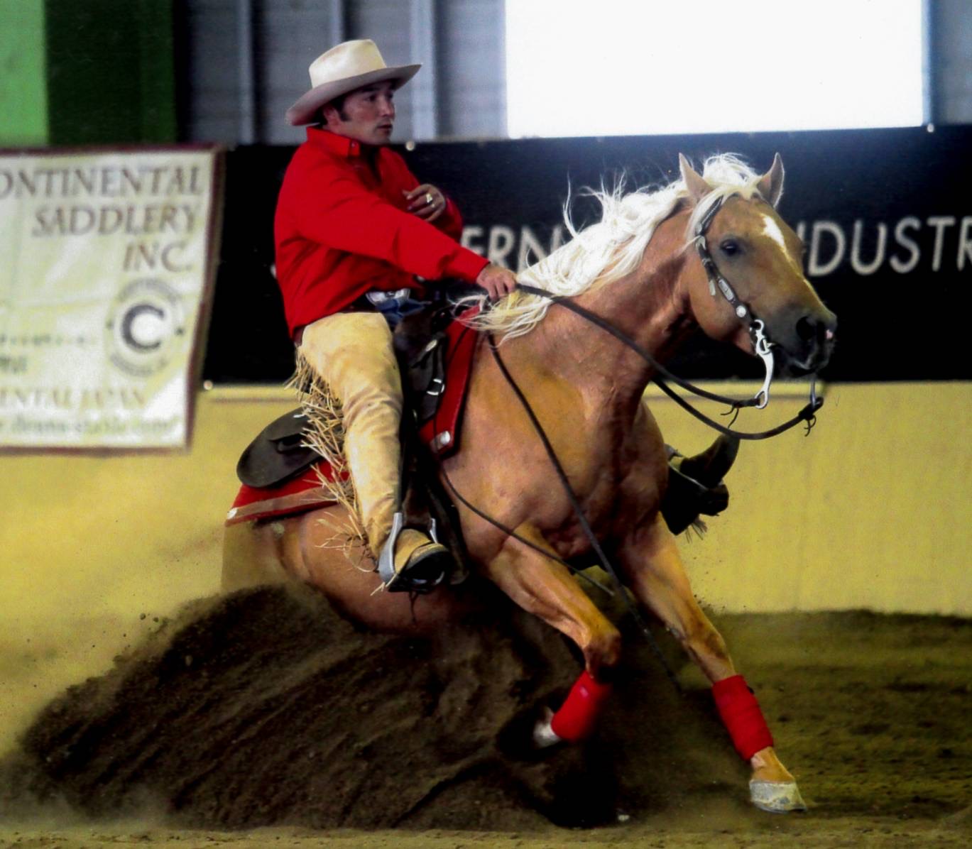 Kazu Horse Training | カズホーストレーニング